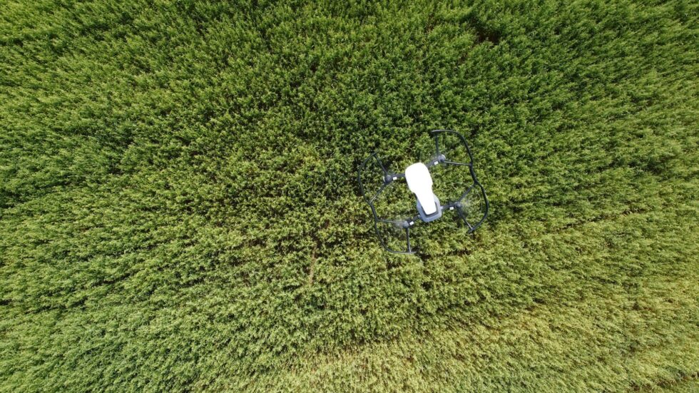 Improve Drone Mapping in Dense Texas Crops